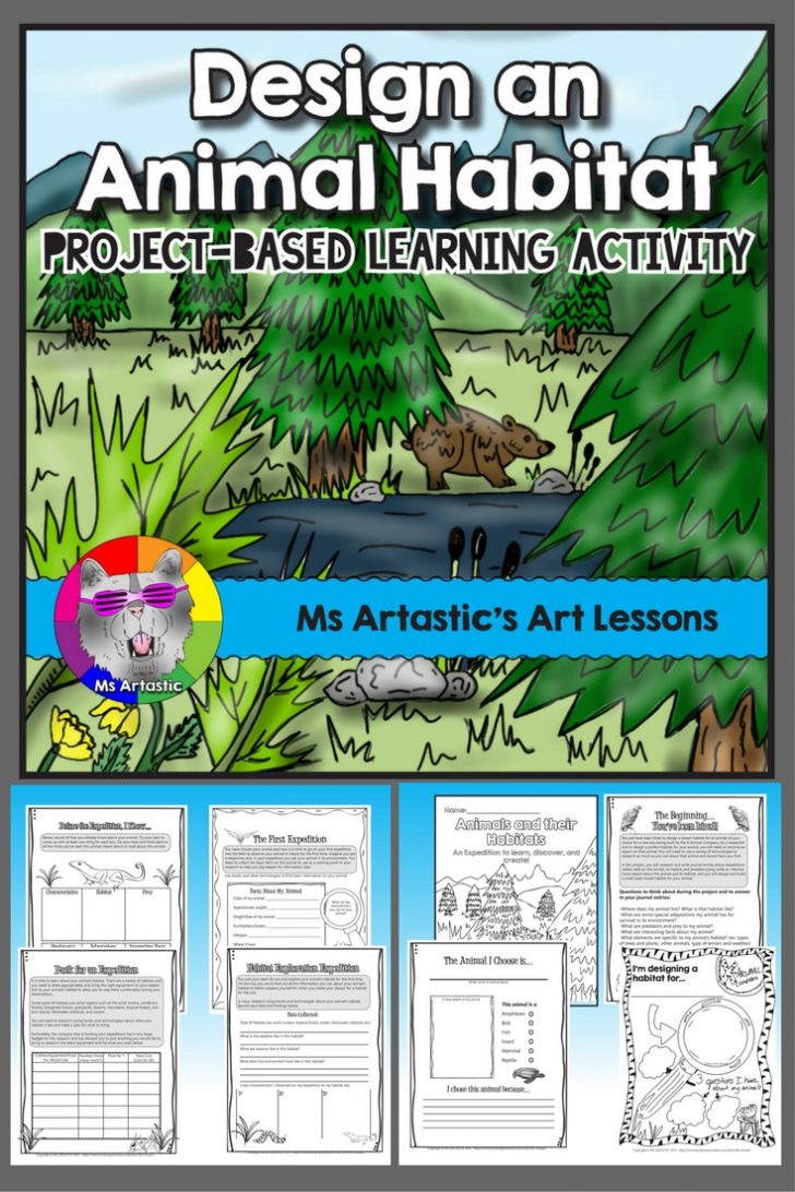 Design An Animal Habitat: Project-Based Learning Activity - Lesson ...