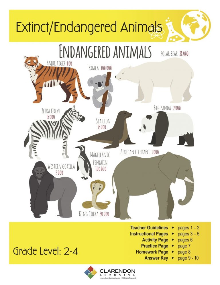 Extinct/endangered Animals Lesson Plan | Clarendon Learning | Lesson ...