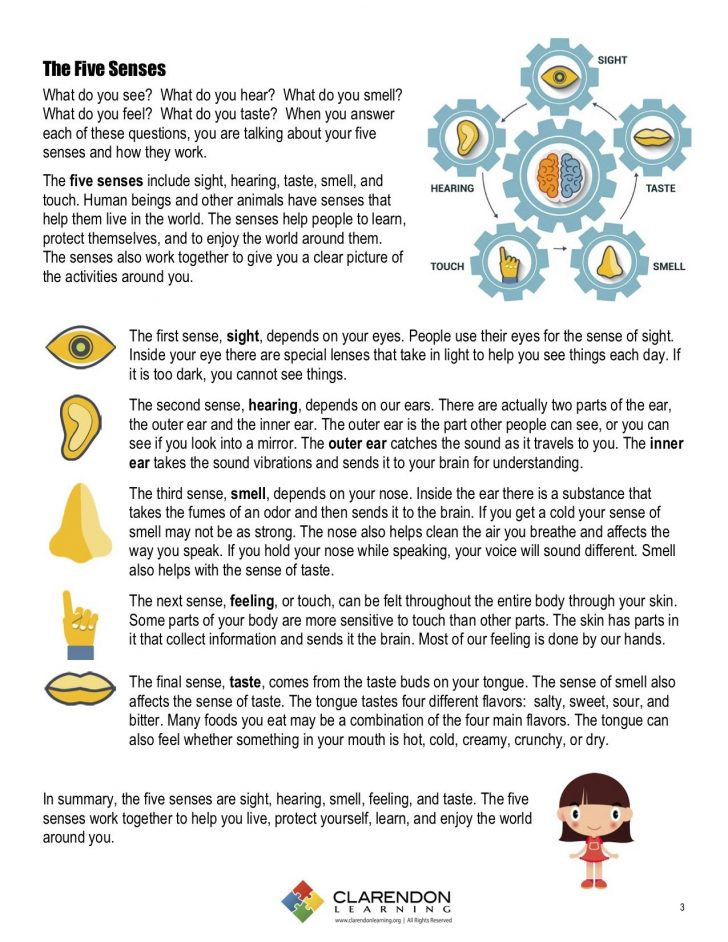 Five Senses - Lesson Plans Learning
