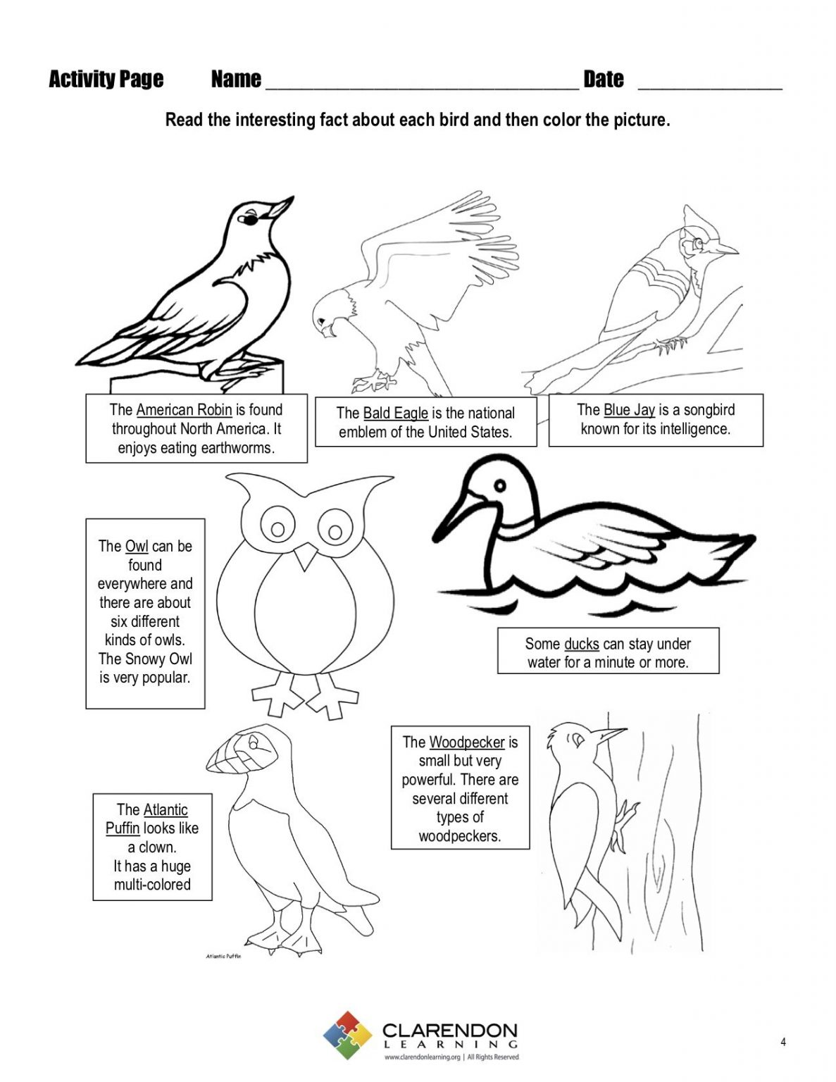 Birds Lesson Plan For Kindergarten - Lesson Plans Learning