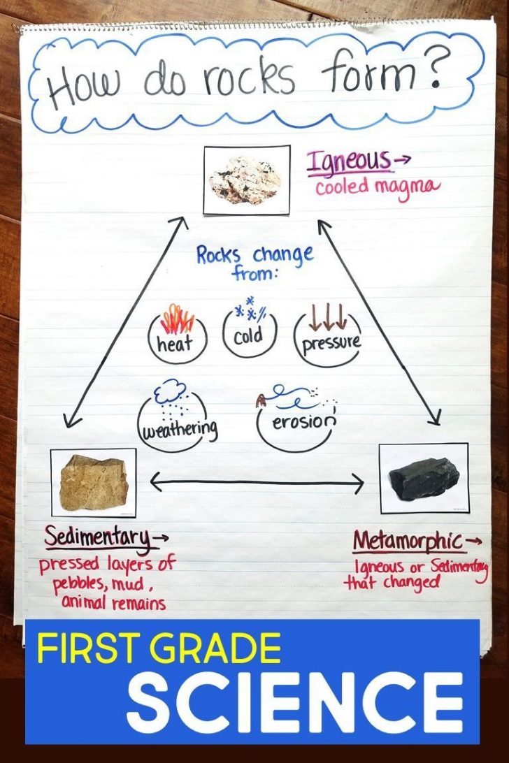 First Grade Science Lesson Plans - Lesson Plans Learning