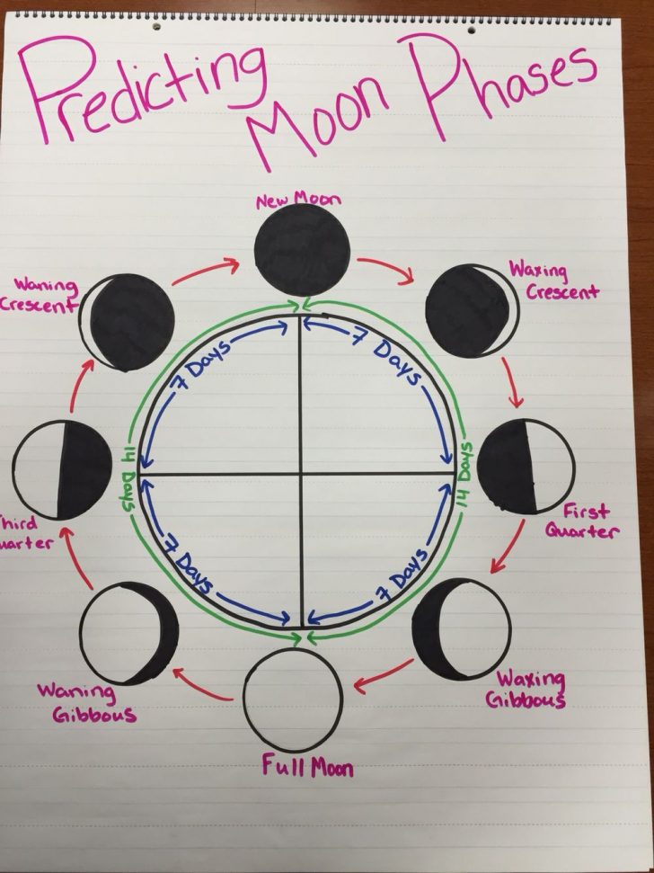 Predicting Moon Phases Anchor Chart | Science Anchor Charts - Lesson ...