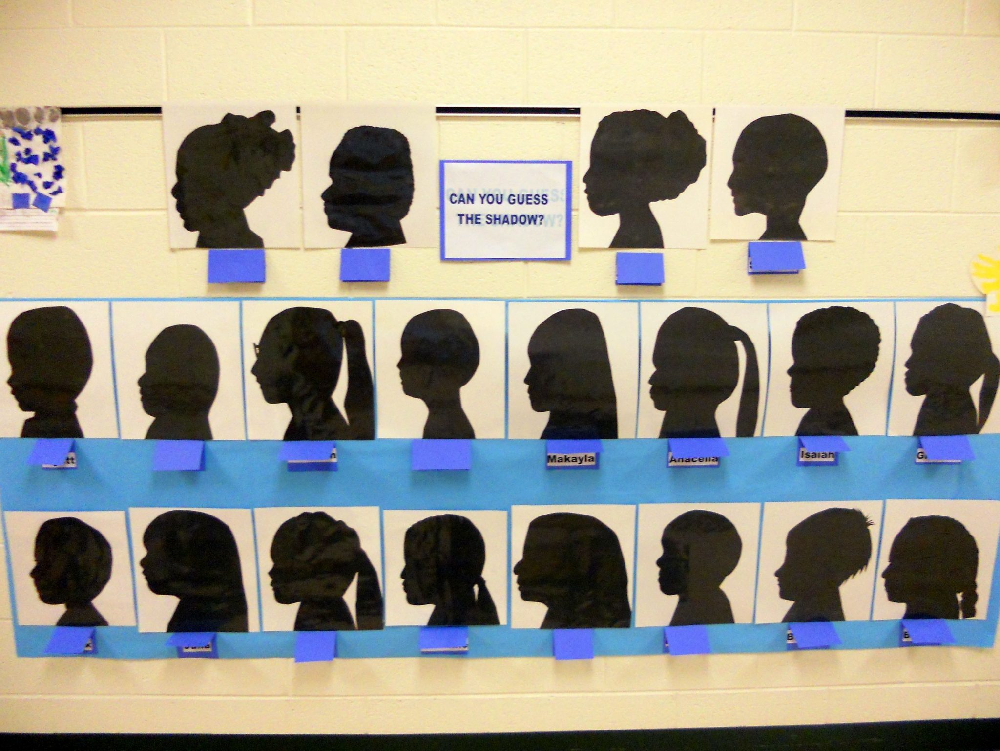 Shadow Activity Turned Bulletin Board I Did With My - Lesson Plans Learning