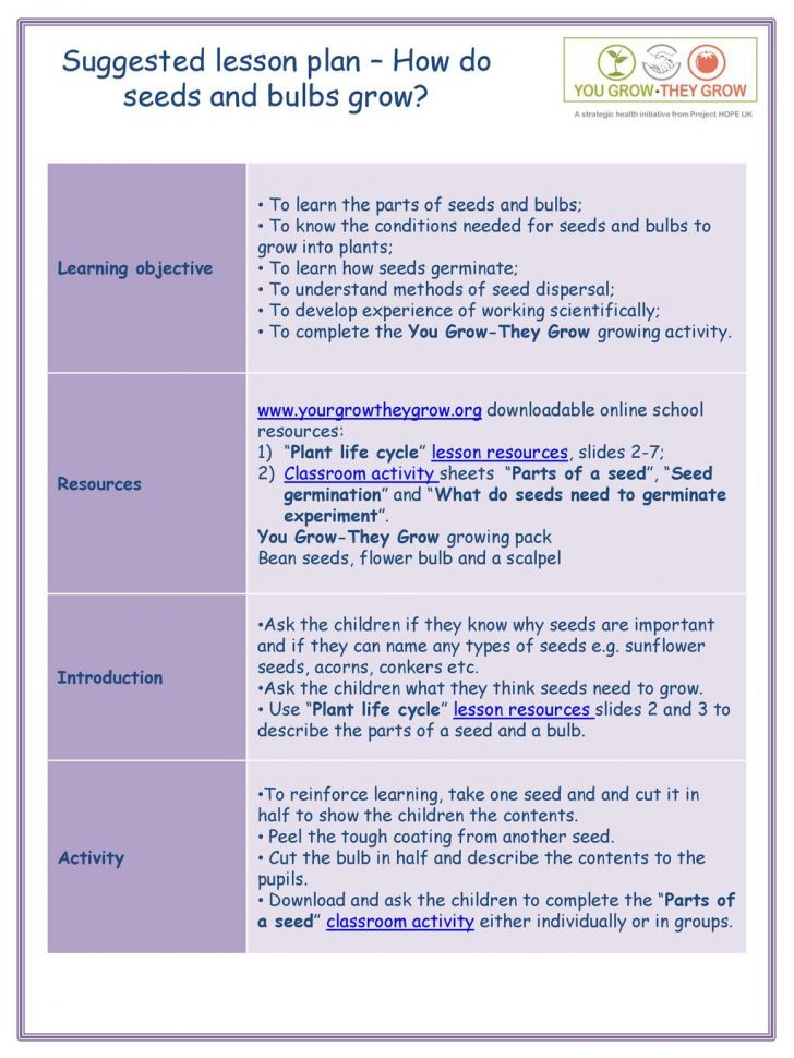 Suggested Lesson Plan – How Do Seeds And Bulbs Grow? - Ppt | Lesson ...