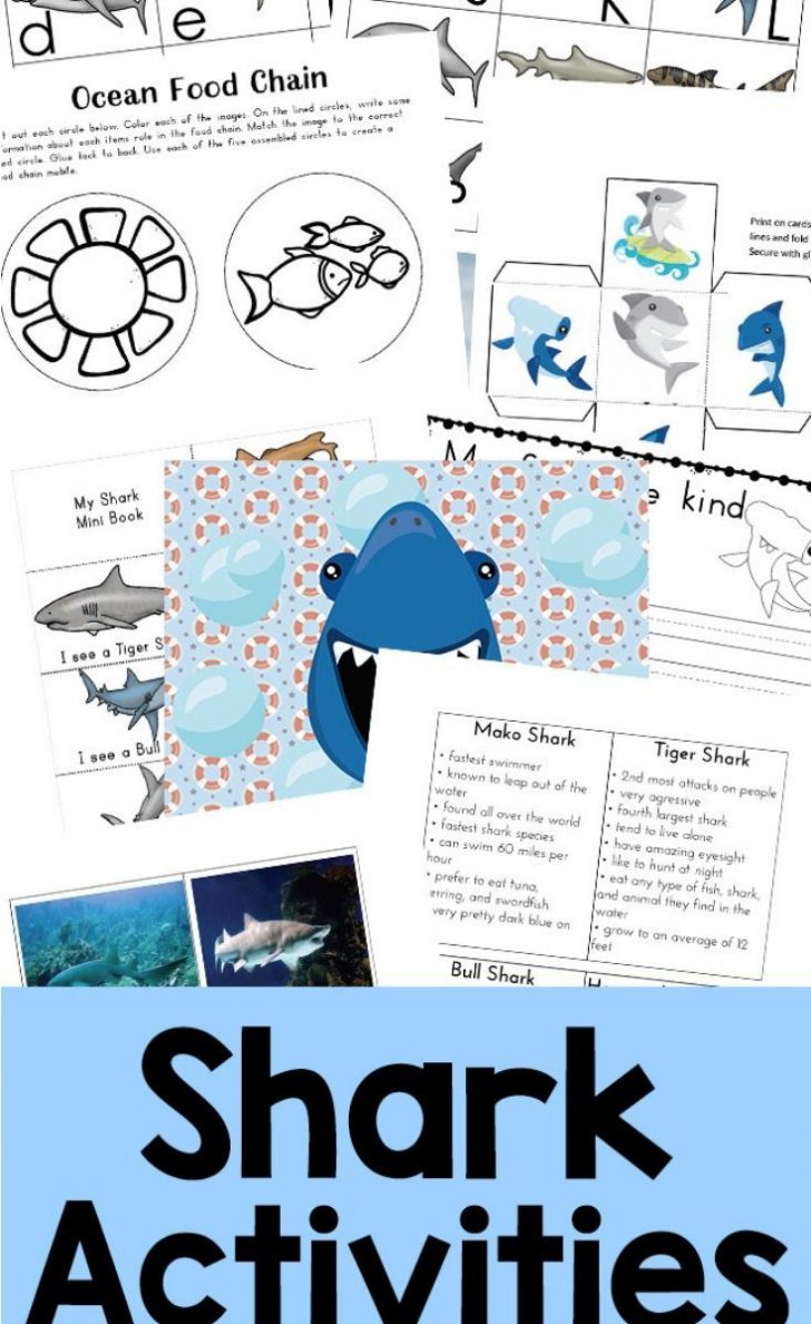 The Best Shark Printable Activities For Kids - Shark Lesson - Lesson ...